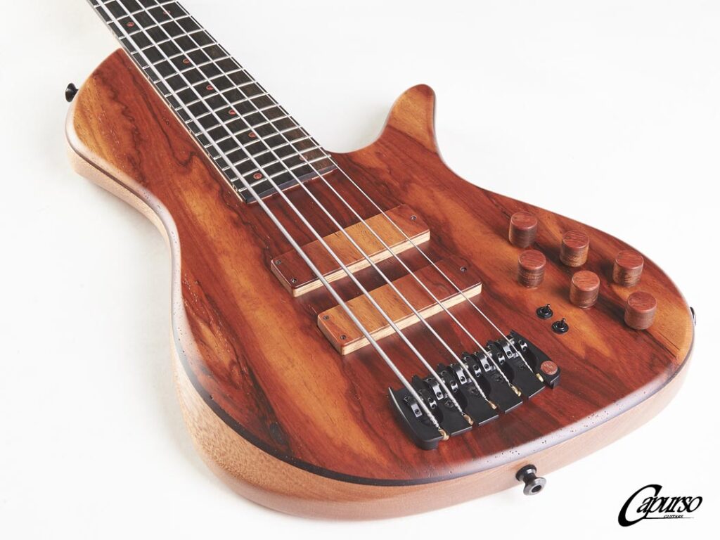 Georgius Archives Capurso Guitars